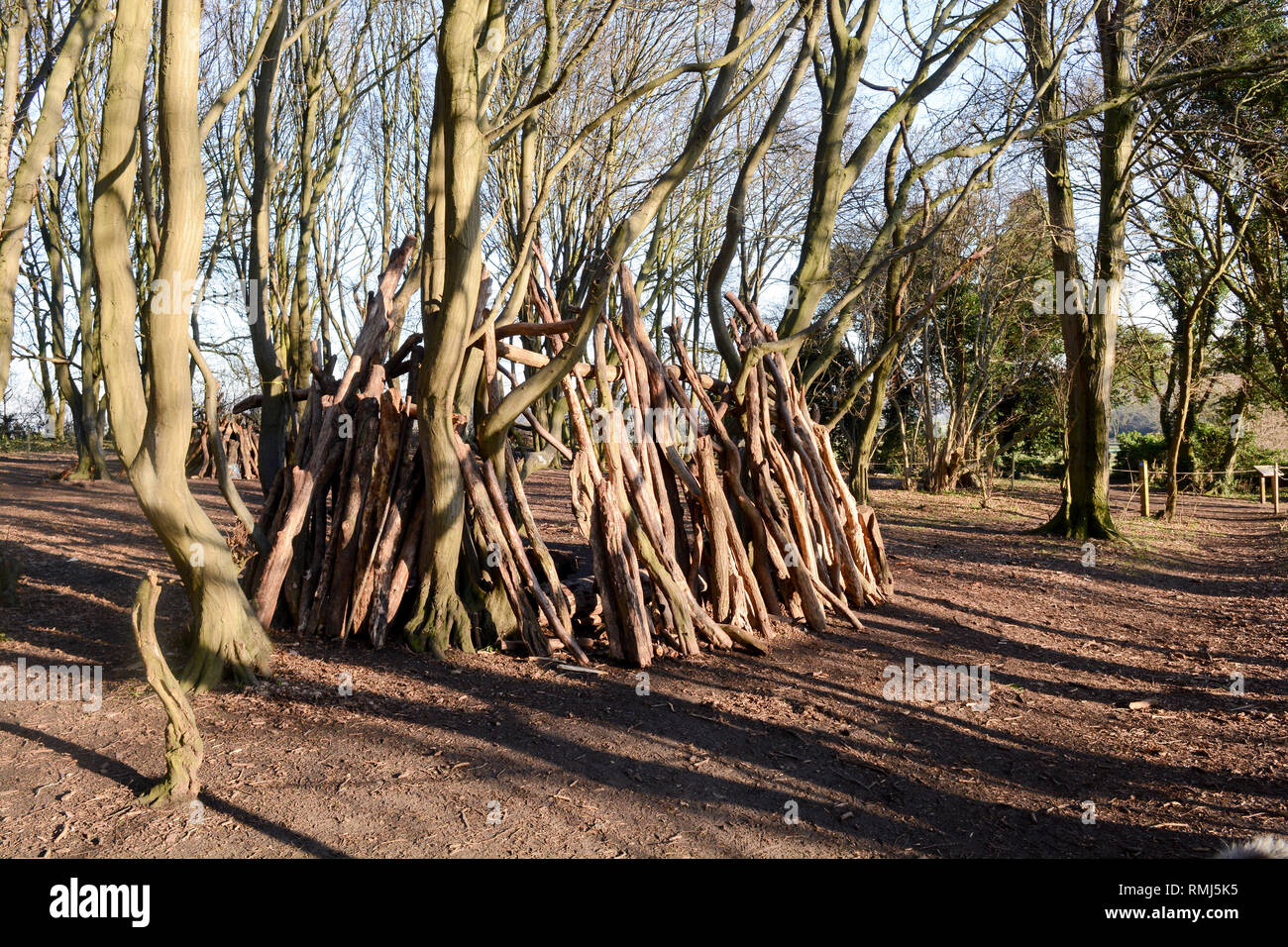 Dens or shelters made from logs and sticks in the forest Stock Photo ...