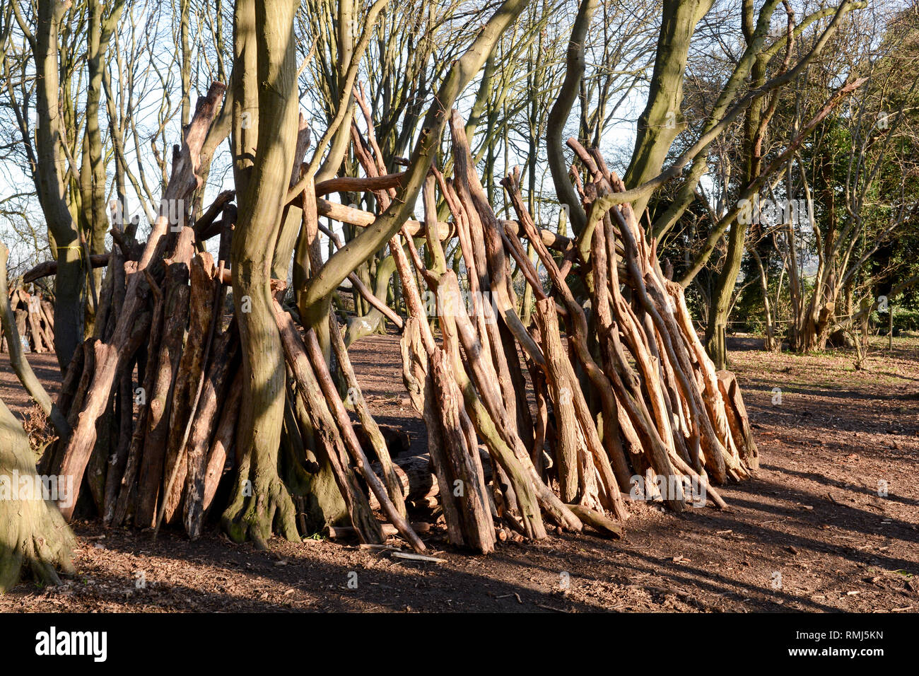 Dens or shelters made from logs and sticks in the forest Stock Photo ...