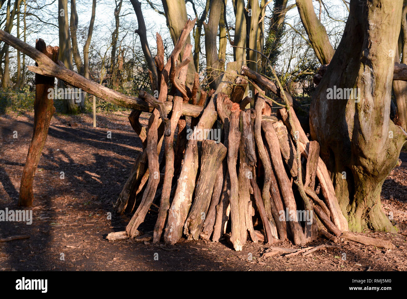 Dens or shelters made from logs and sticks in the forest Stock Photo ...