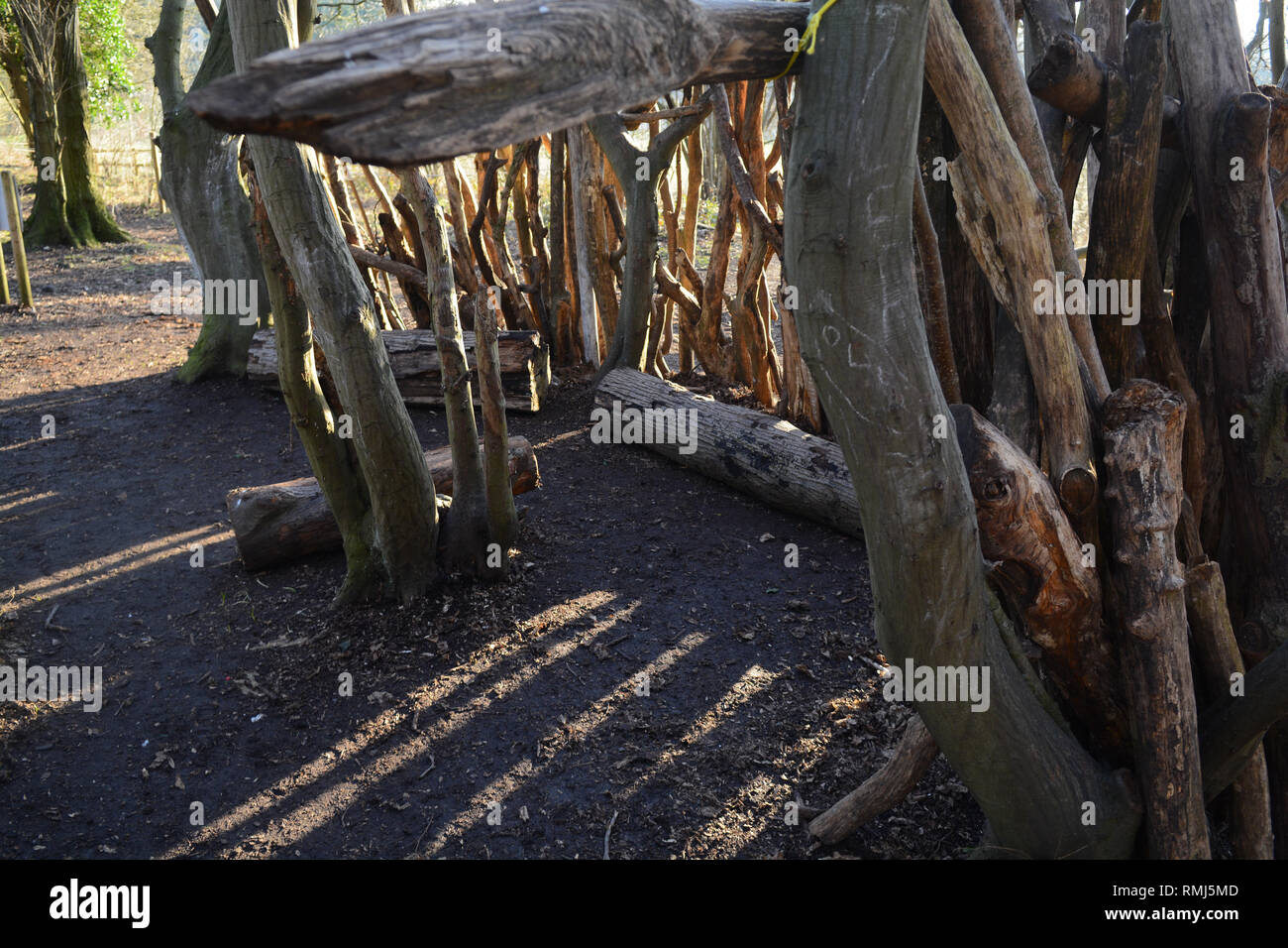 Den made from tree branches hi-res stock photography and images - Alamy