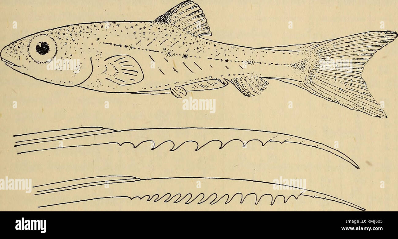 . Annals of the South African Museum = Annale van die Suid-Afrikaanse ...