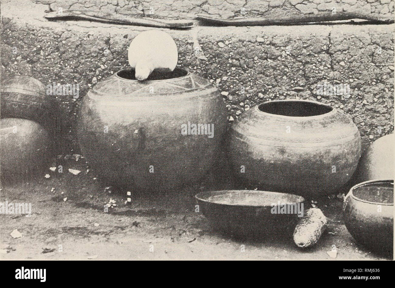 Shangaan food hi-res stock photography and images - Alamy