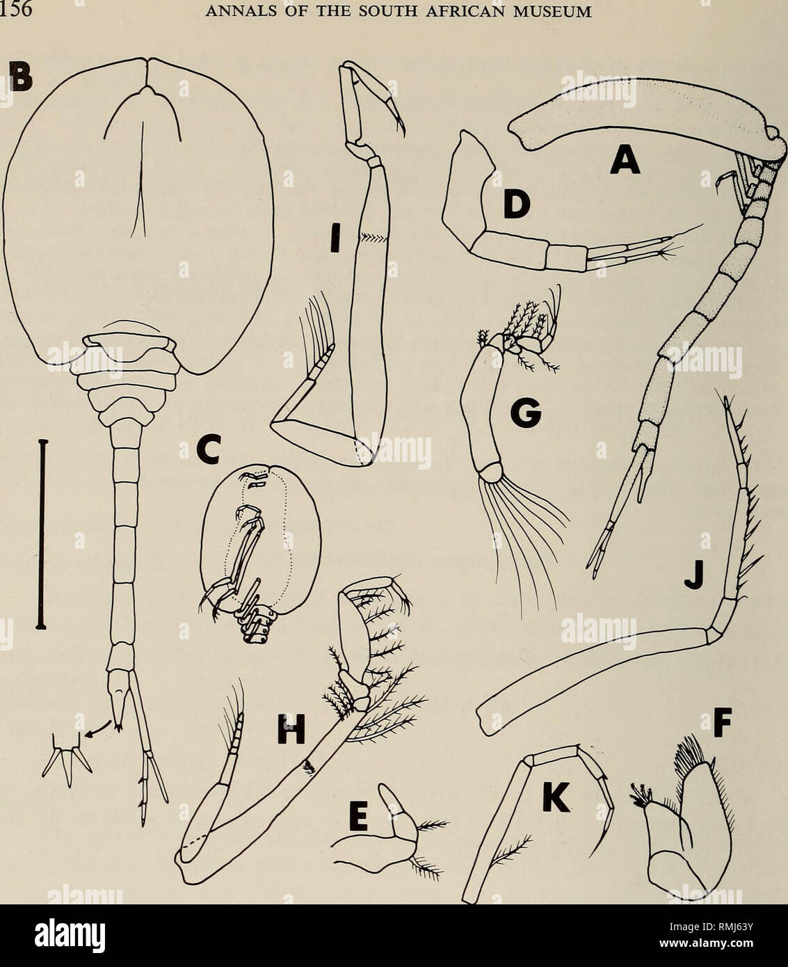 . Annals of the South African Museum = Annale van die Suid-Afrikaanse ...