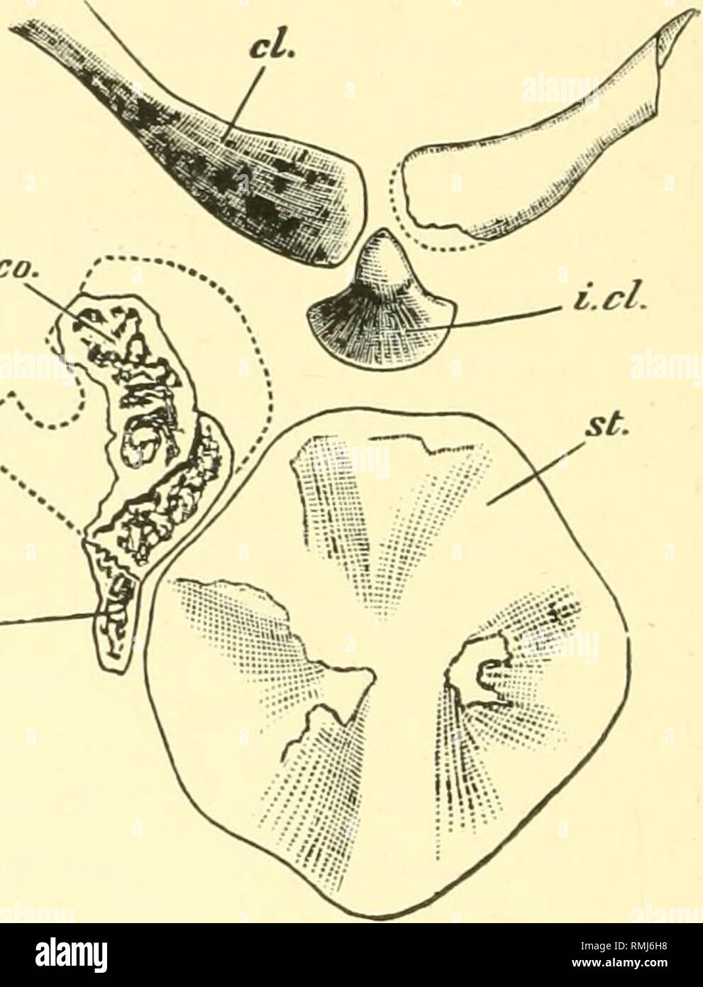 52 ac hi-res stock photography and images - Alamy