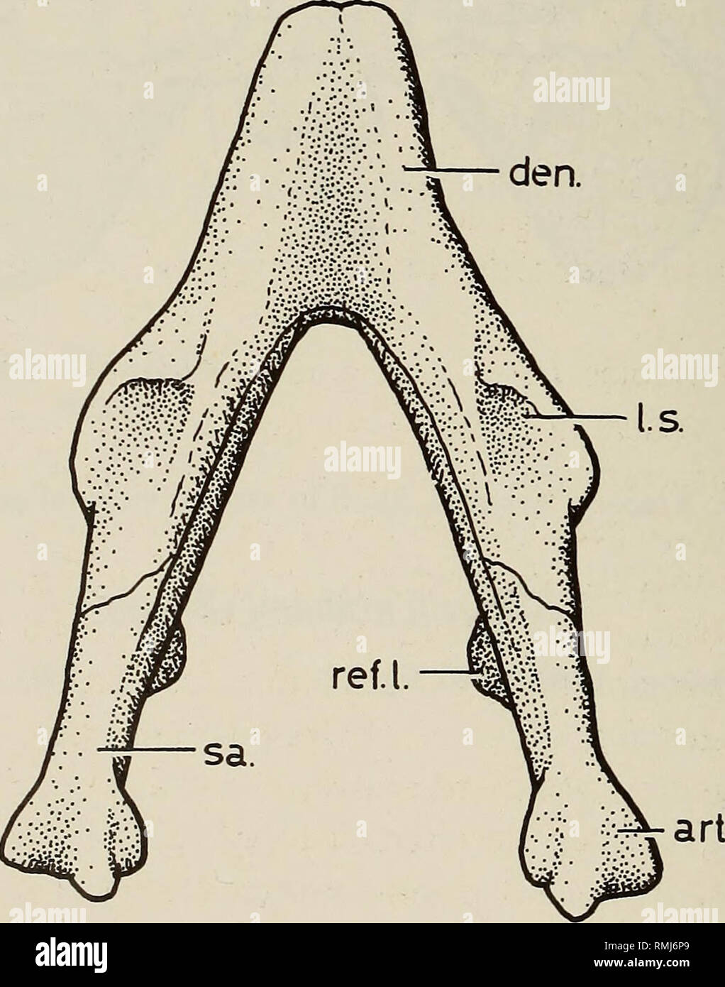 Doornkloof hi-res stock photography and images - Alamy