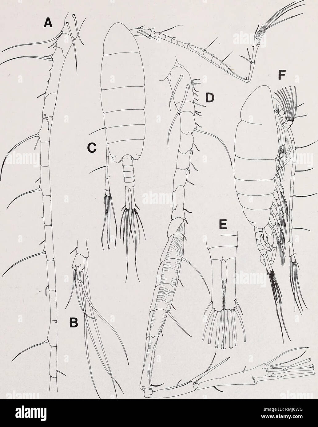 . Annals of the South African Museum. Annale van die Suid-Afrikaanse ...