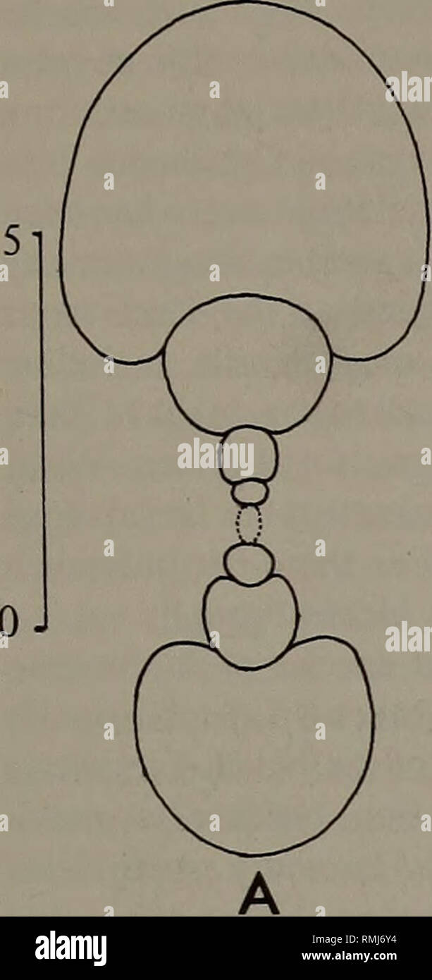 . Annals of the South African Museum = Annale van die Suid-Afrikaanse ...