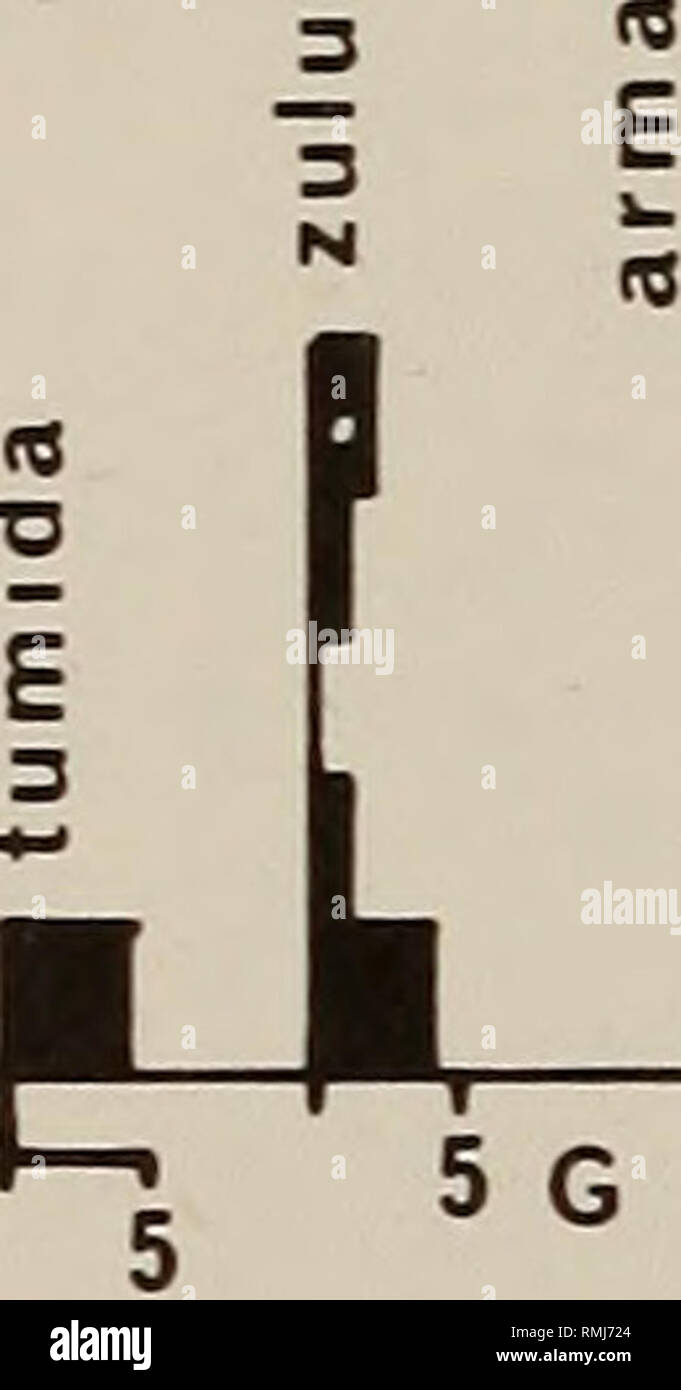 Number 4b hi-res stock photography and images - Alamy