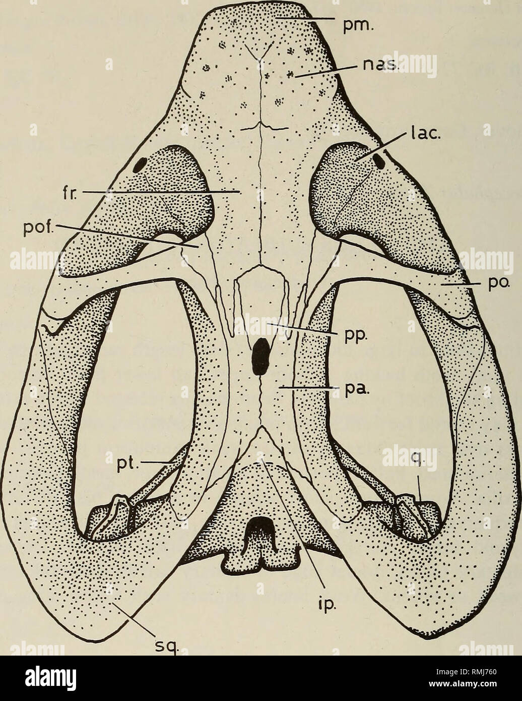 . Annals of the South African Museum = Annale van die Suid-Afrikaanse ...