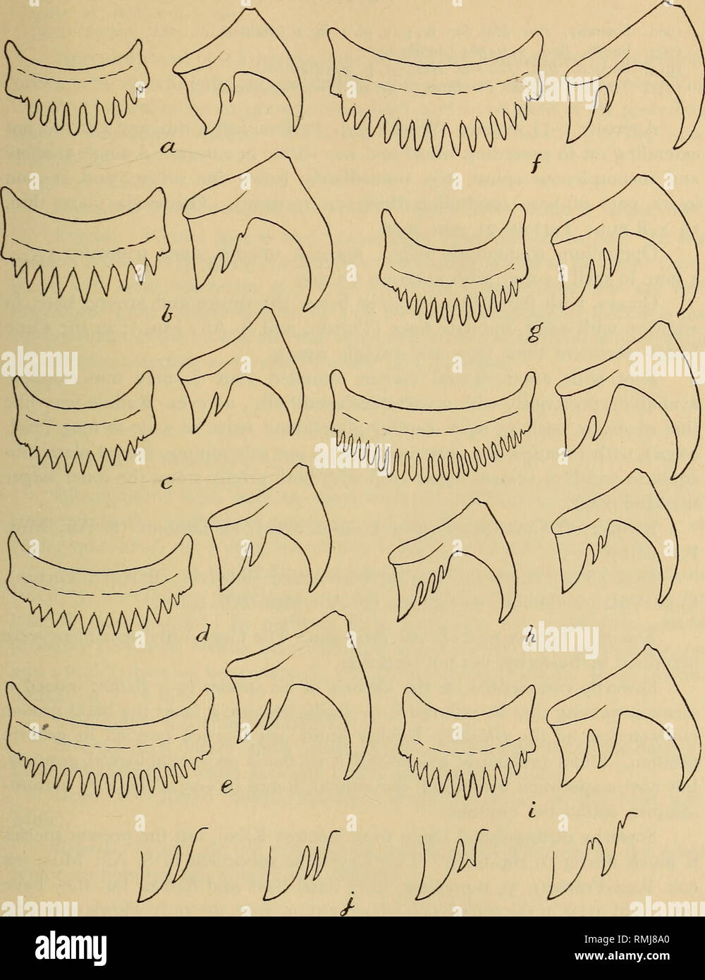 Hand cusp hi-res stock photography and images - Alamy