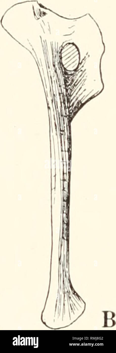 Concave outer border hi-res stock photography and images - Alamy