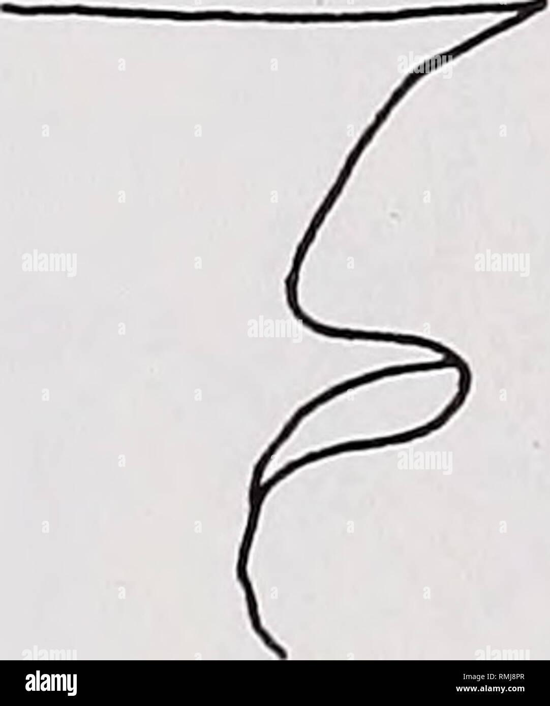 . Annals of the South African Museum. Annale van die Suid-Afrikaanse ...