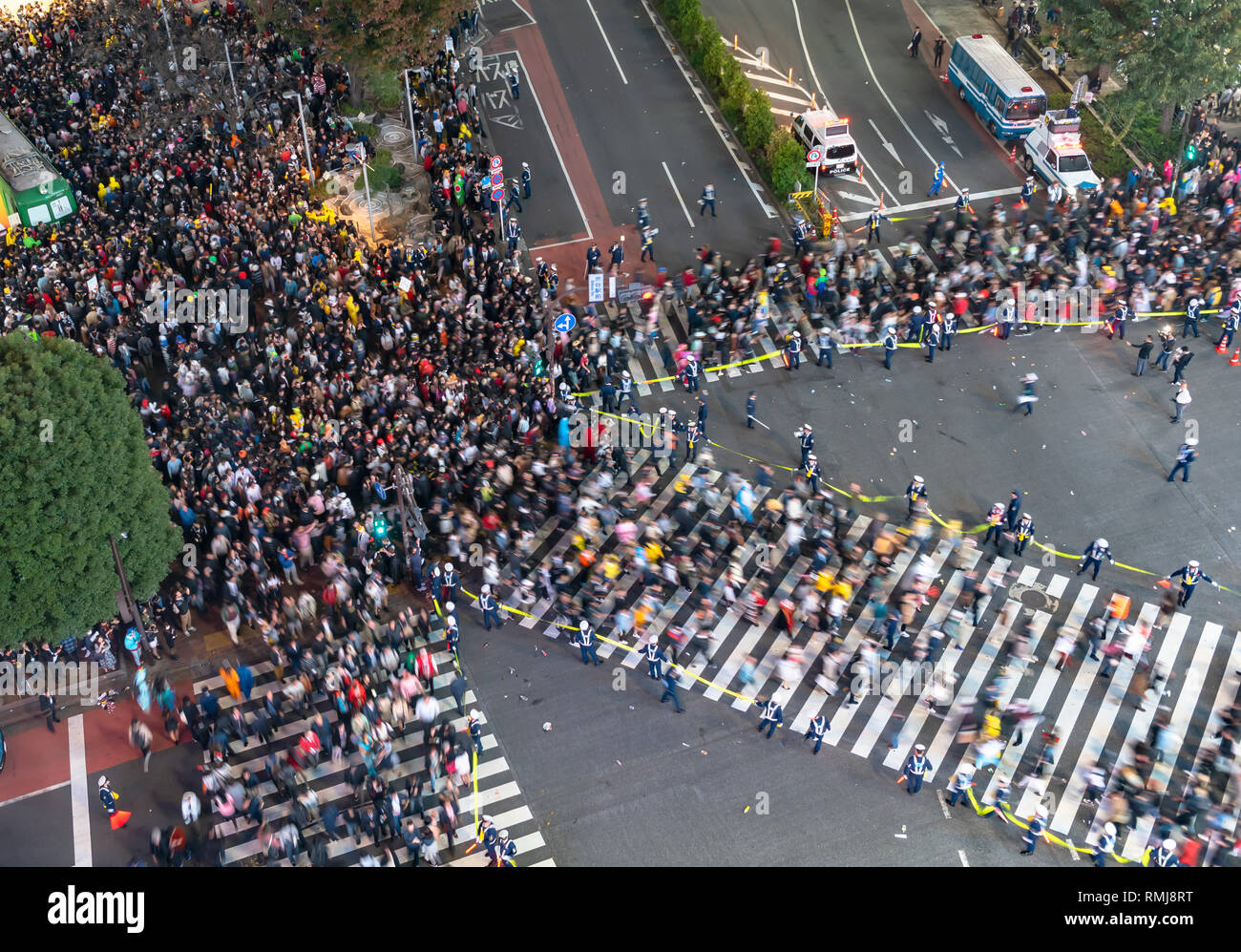 Pedestrians crosswalk at Shibuya district in Tokyo, Japan. Shibuya ...