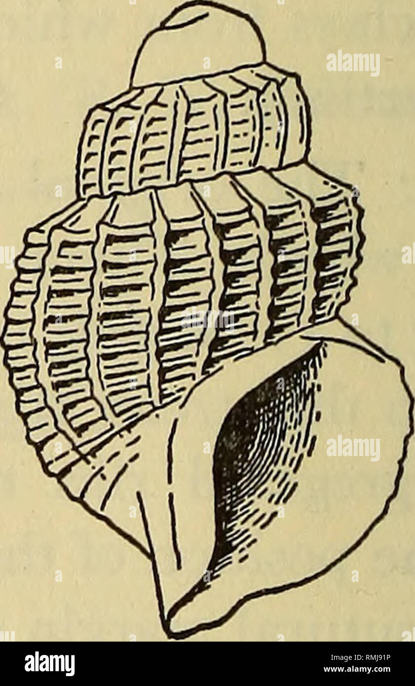 . Annals of the South African Museum = Annale van die Suid-Afrikaanse ...