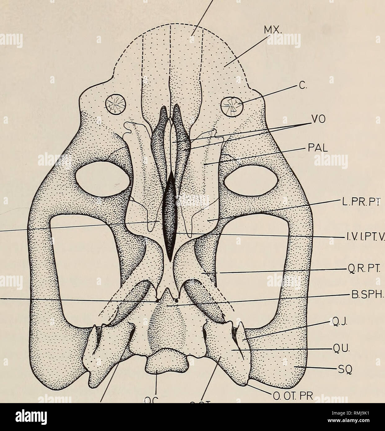 . Annals of the South African Museum = Annale van die Suid-Afrikaanse ...