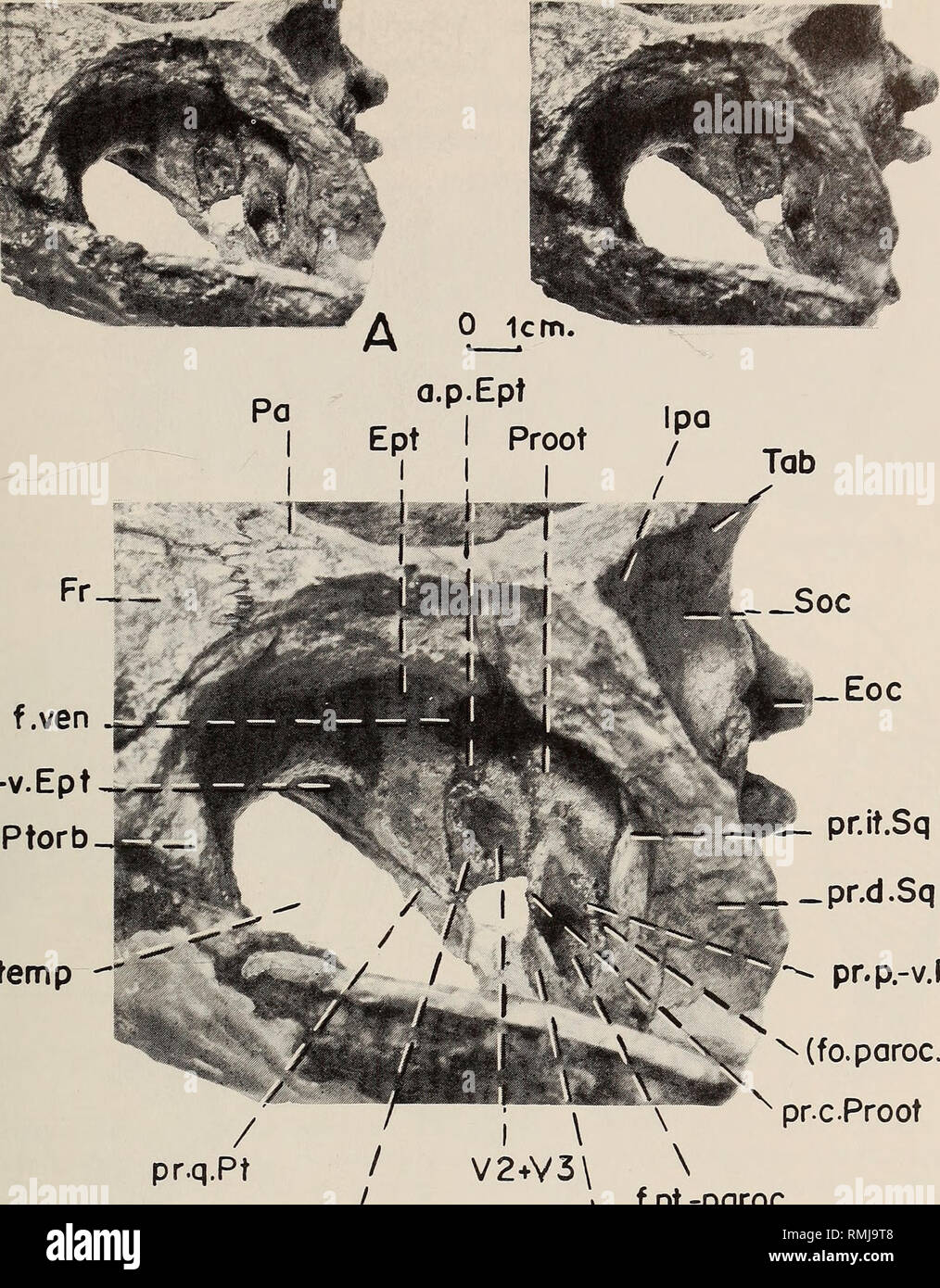 Paroc hi-res stock photography and images - Alamy