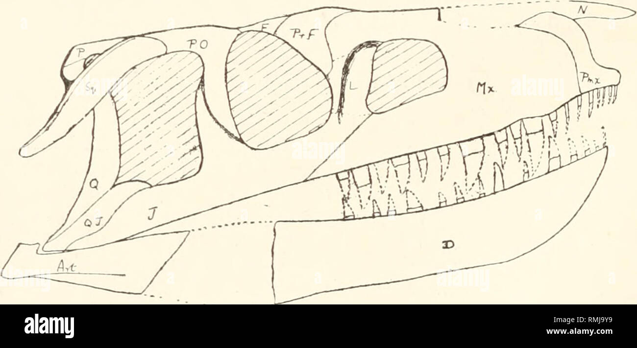 . Annals of the South African Museum. Annale van die Suid-Afrikaanse ...