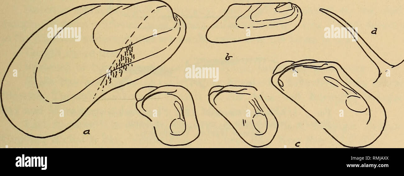 Hartley hanley hi-res stock photography and images - Alamy