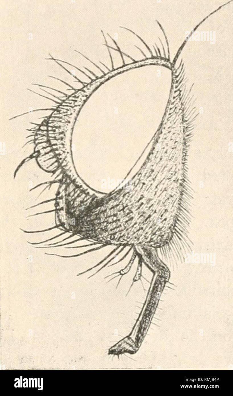 . Annals of the South African Museum. Annale van die Suid-Afrikaanse ...