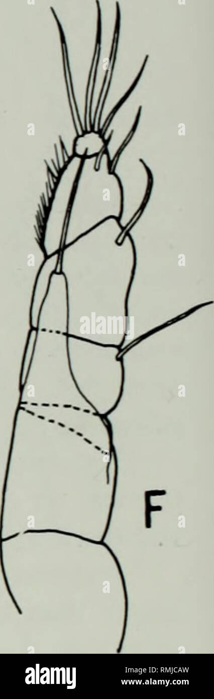 . Annals of the South African Museum. Annale van die Suid-Afrikaanse ...