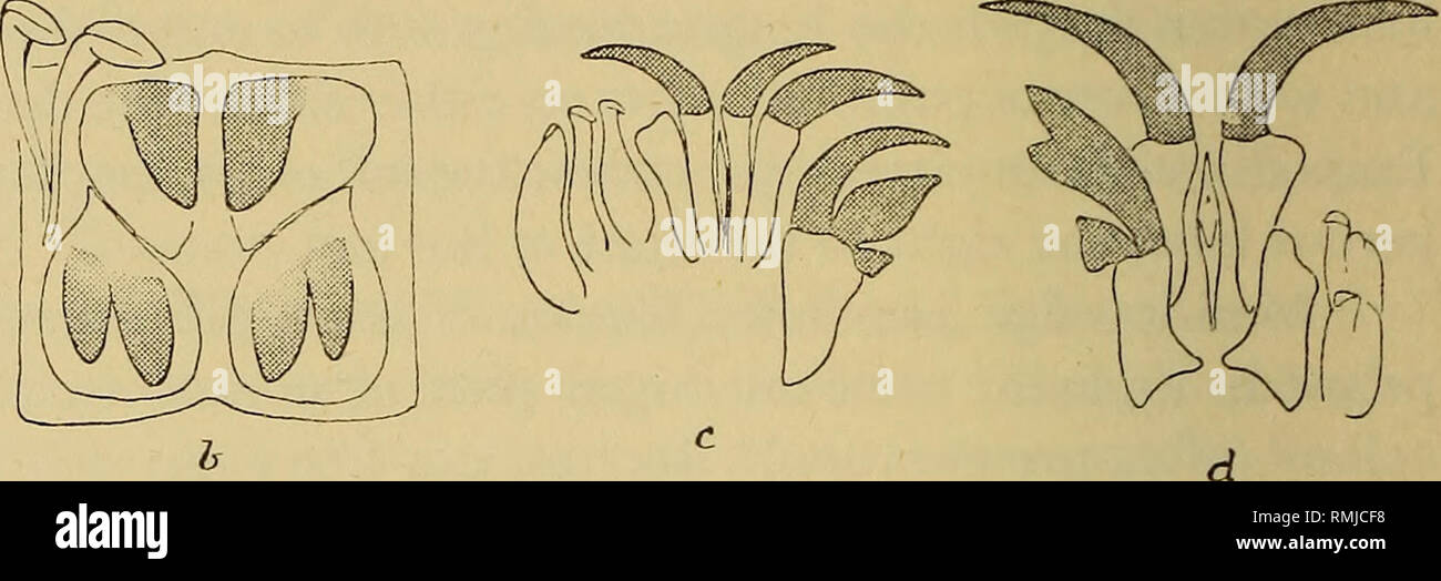 . Annals of the South African Museum = Annale van die Suid-Afrikaanse ...