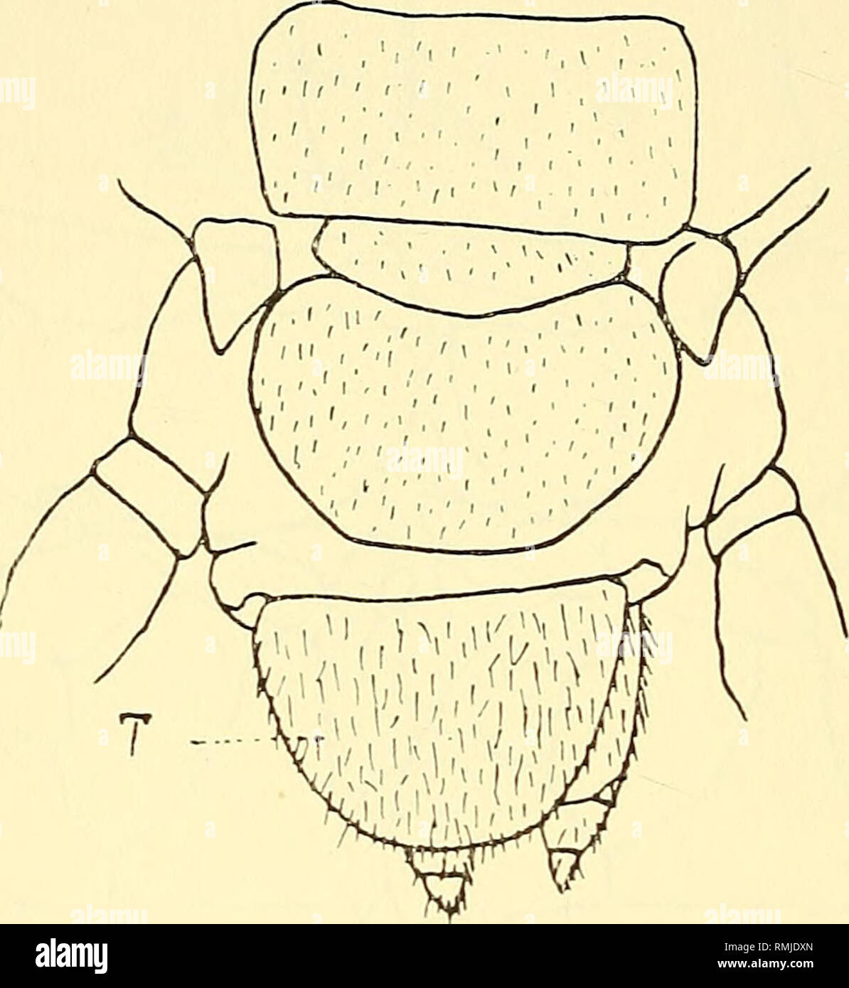 . Annals of the South African Museum = Annale van die Suid-Afrikaanse ...
