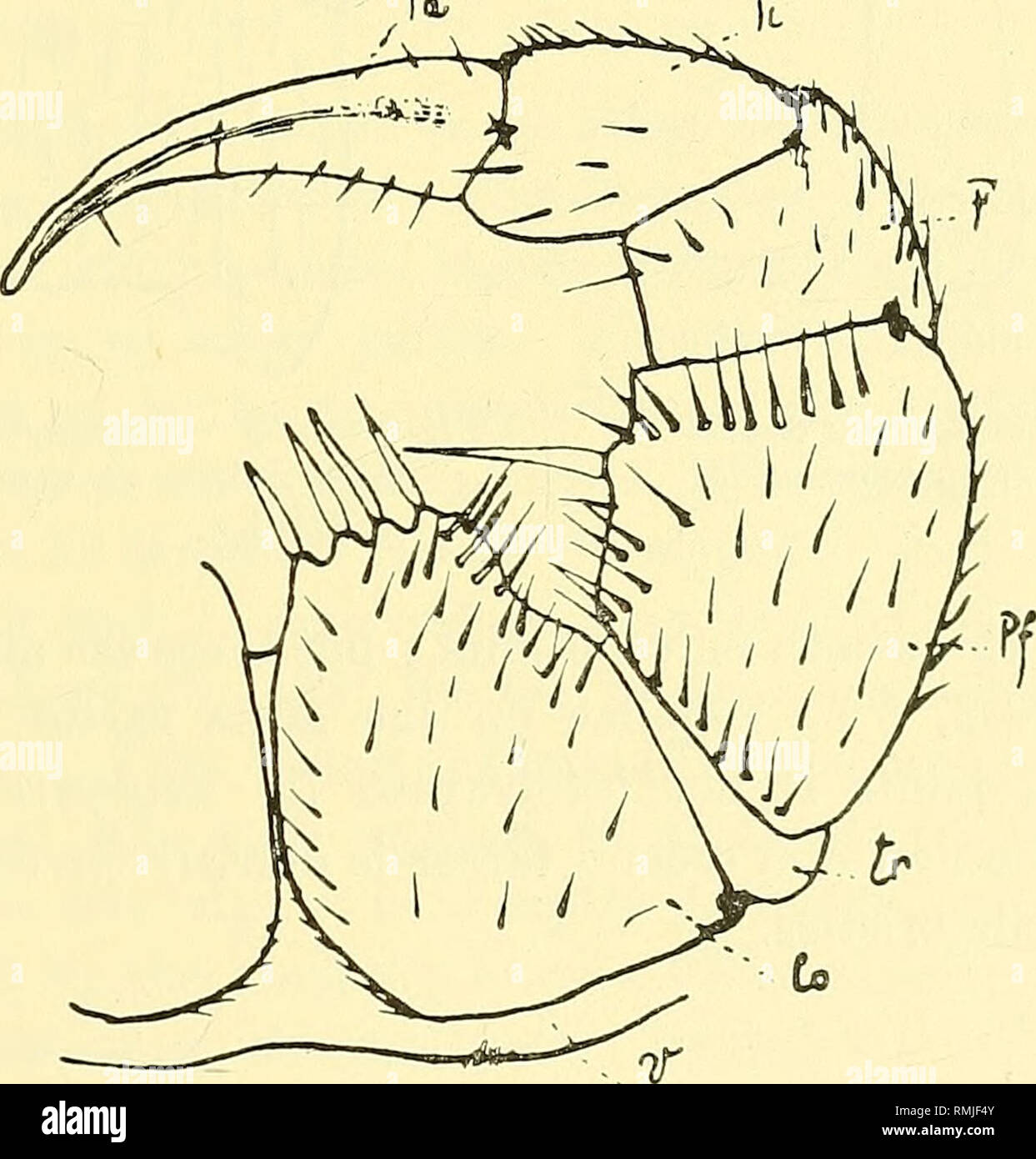 . Annals of the South African Museum = Annale van die Suid-Afrikaanse ...