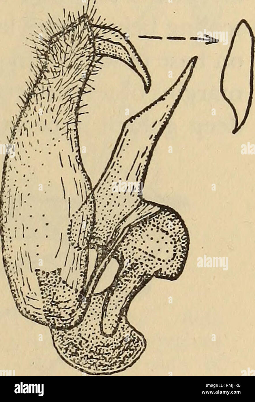 . Annals of the South African Museum = Annale van die Suid-Afrikaanse ...