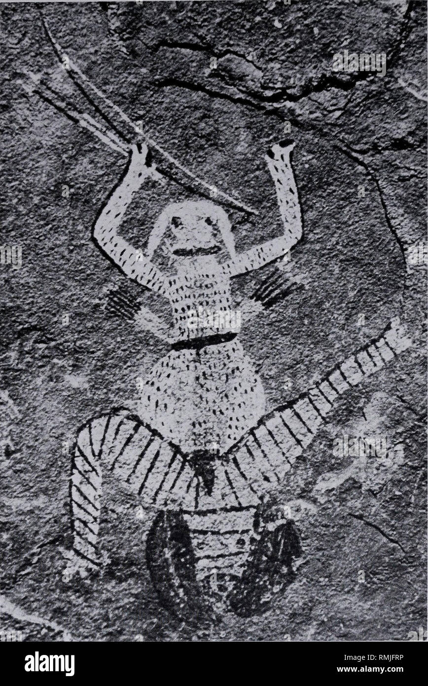 . Annals of the South African Museum. Annale van die Suid-Afrikaanse ...