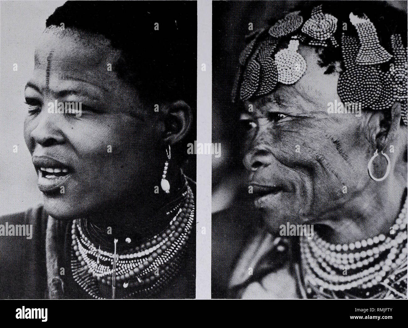 16 bushmen hi-res stock photography and images - Alamy