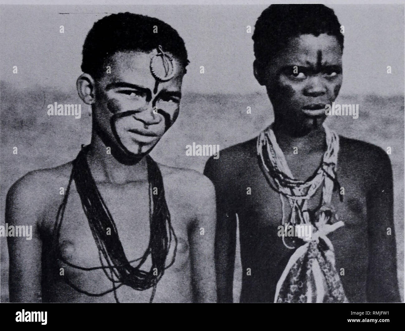 . Annals of the South African Museum. Annale van die Suid-Afrikaanse ...