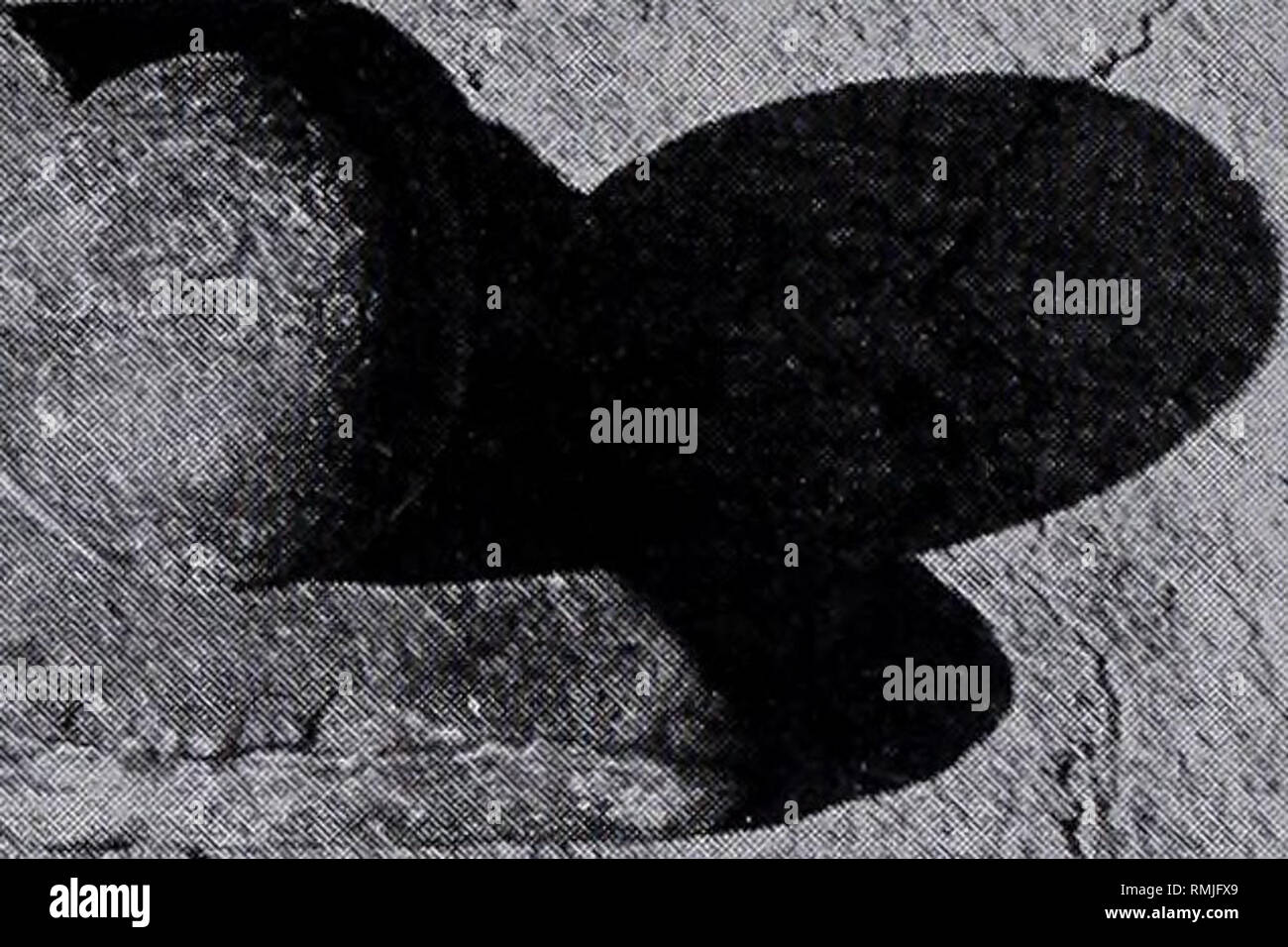 Velskoene hi-res stock photography and images - Alamy