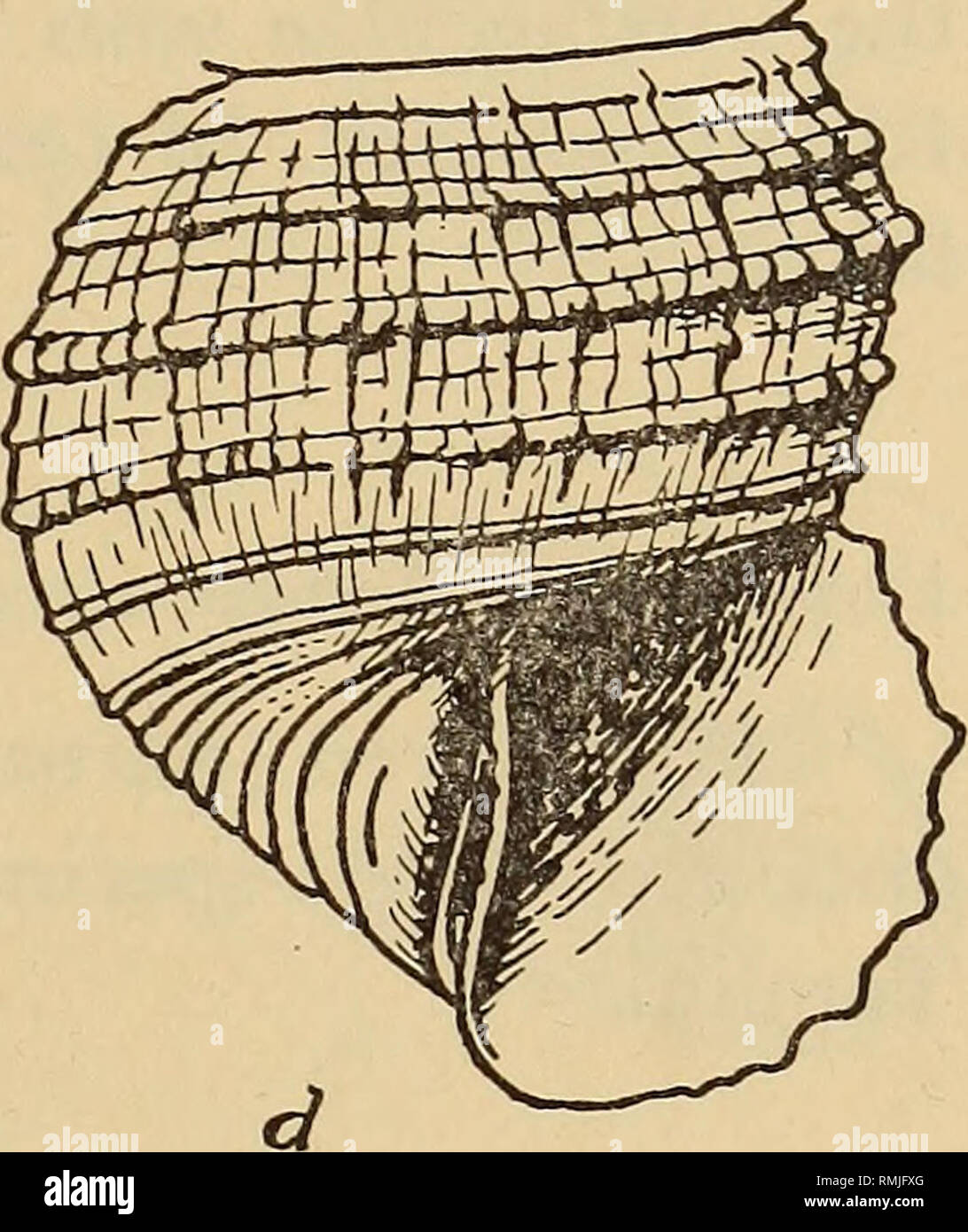 Mathilda may hi-res stock photography and images - Alamy