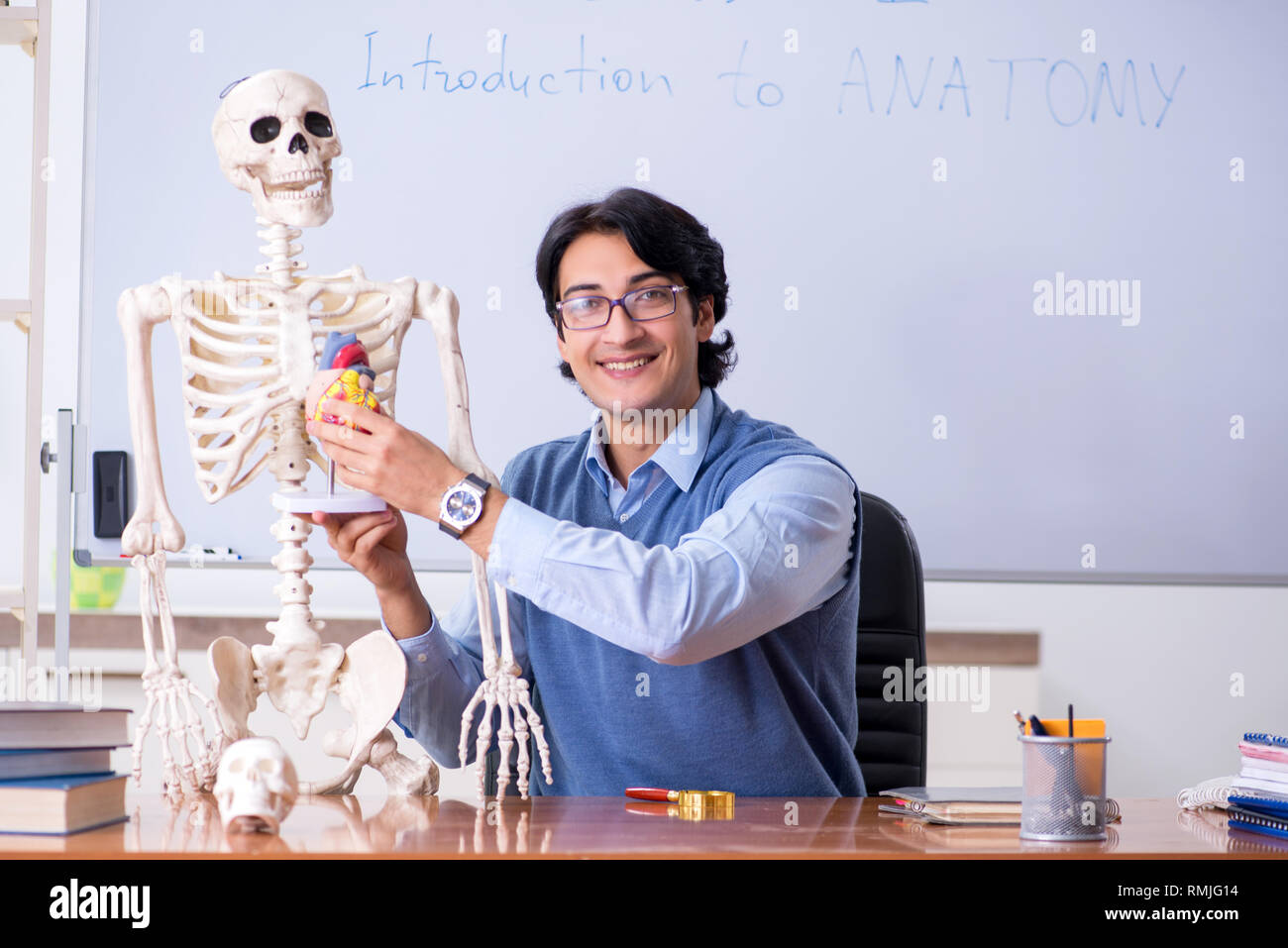 Young lecturer teacher teaching anatomy Stock Photo - Alamy