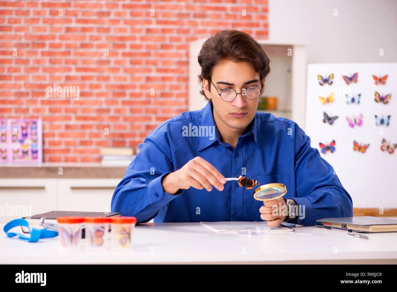 Student entomologist studying new species of butterflies Stock Photo ...