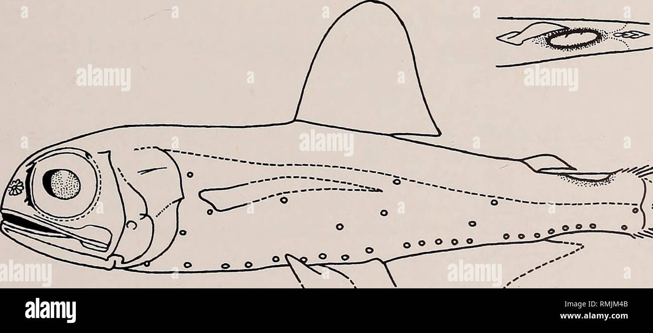 . Annals of the South African Museum = Annale van die Suid-Afrikaanse ...