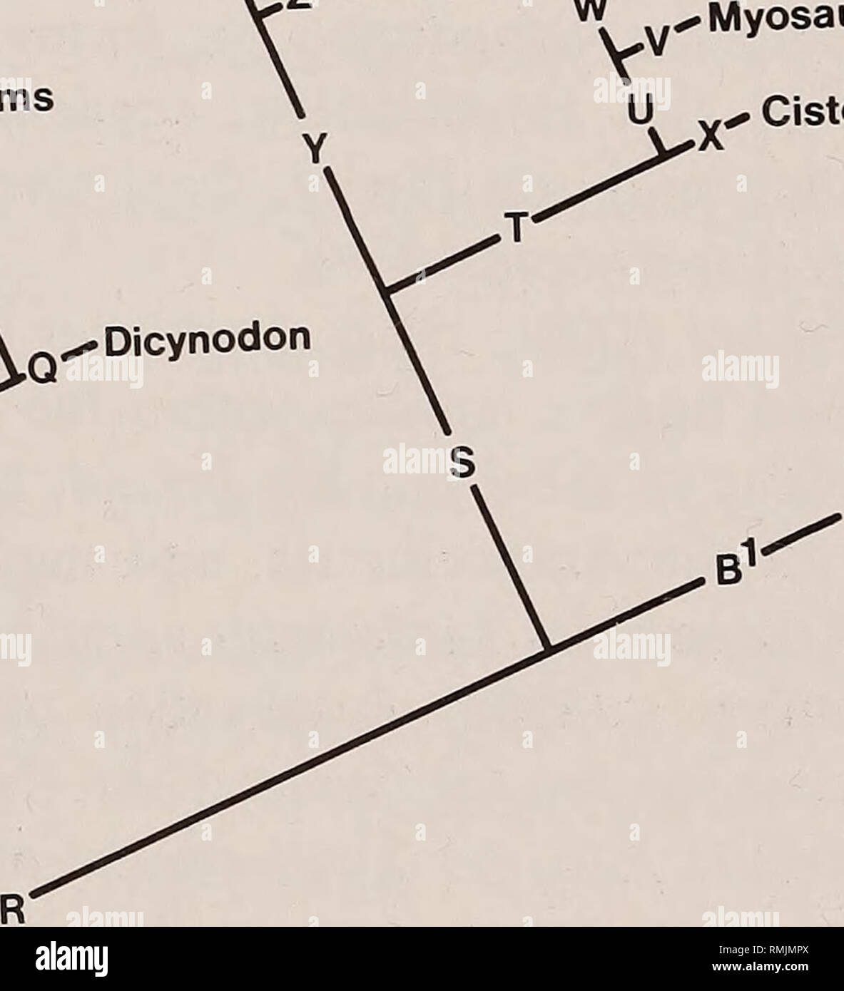 . Annals of the South African Museum = Annale van die Suid-Afrikaanse ...