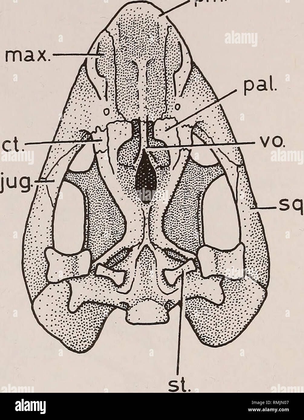 . Annals of the South African Museum = Annale van die Suid-Afrikaanse ...
