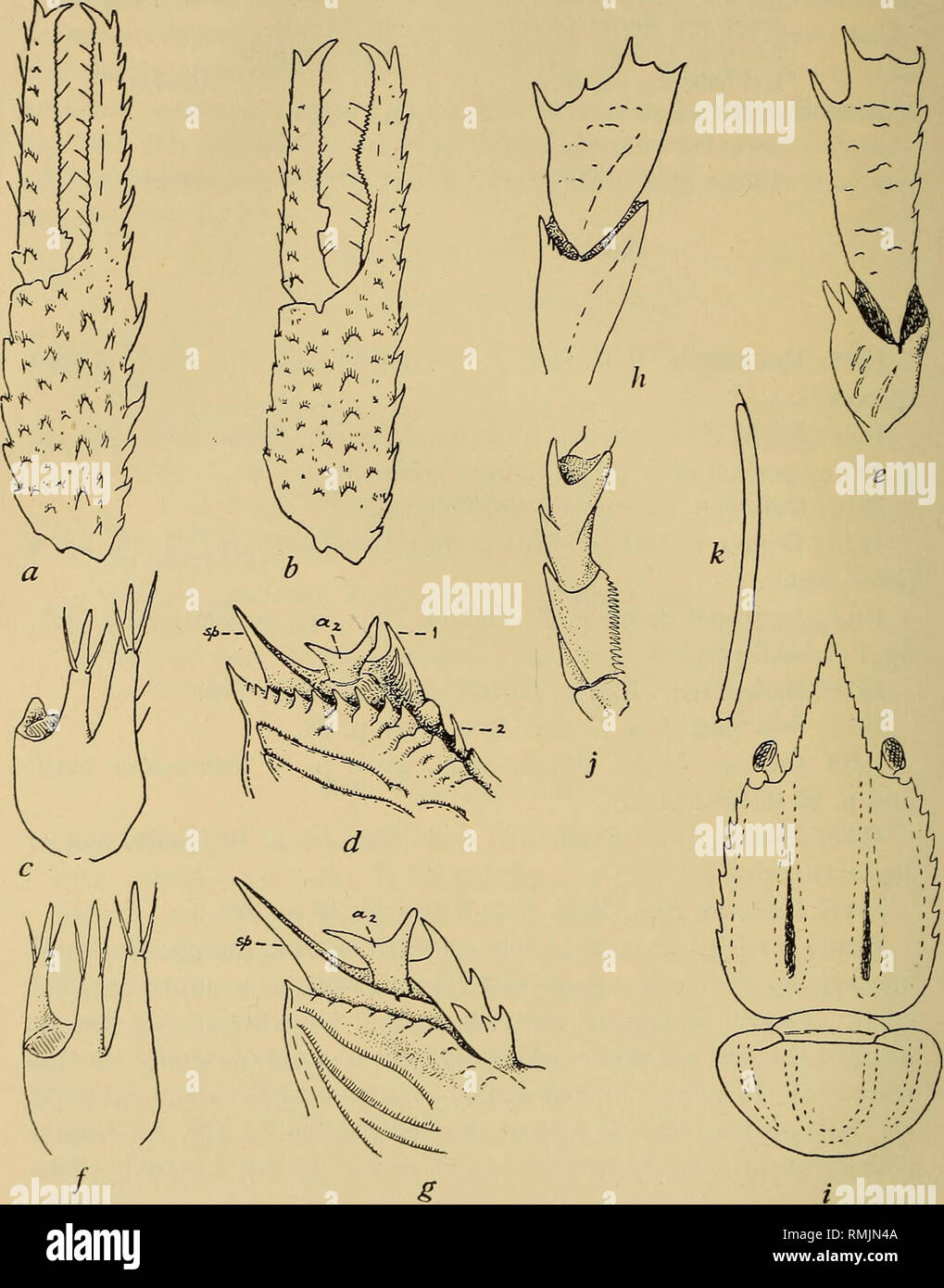 . Annals of the South African Museum = Annale van die Suid-Afrikaanse ...
