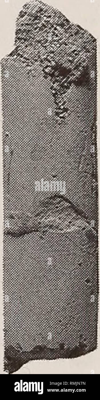 Cambridge clay farm hi-res stock photography and images - Alamy