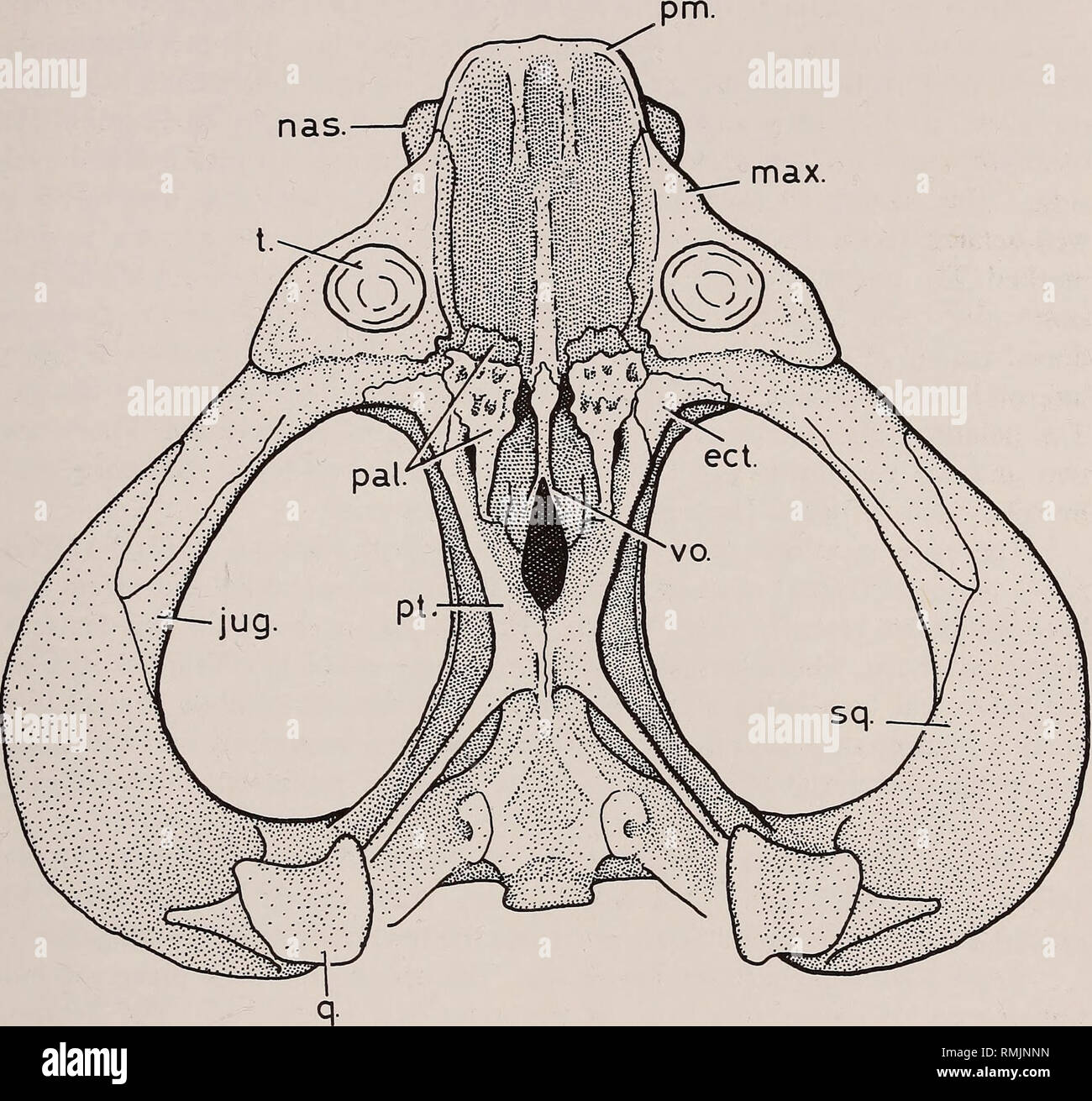 . Annals of the South African Museum = Annale van die Suid-Afrikaanse ...