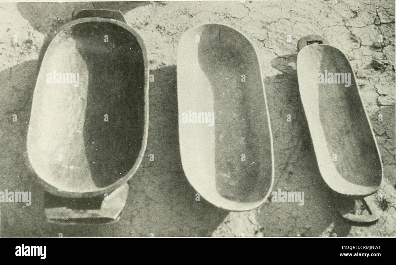 . Annals of the South African Museum = Annale van die Suid-Afrikaanse ...