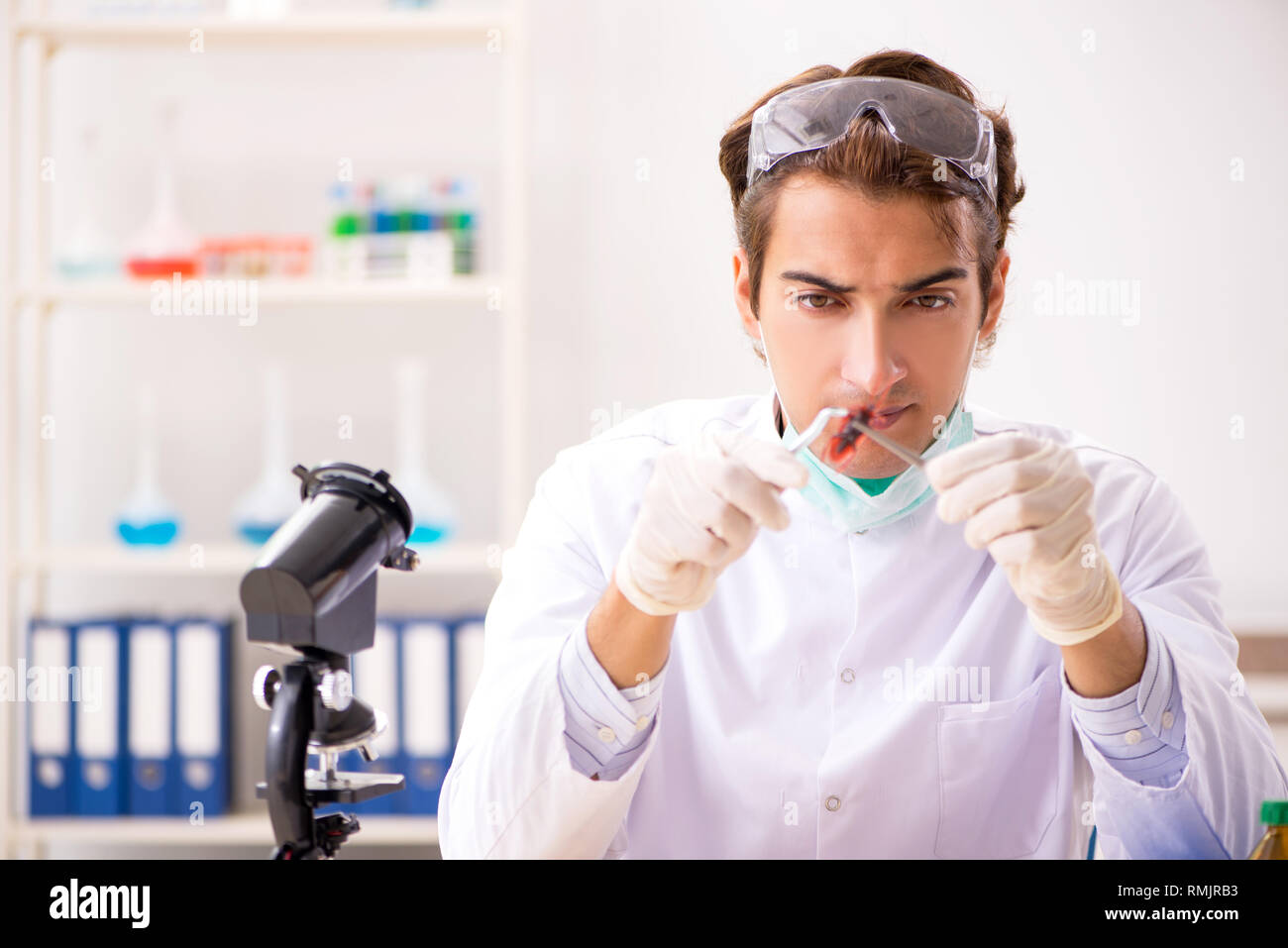 Male entomologist working in the lab on new species Stock Photo - Alamy