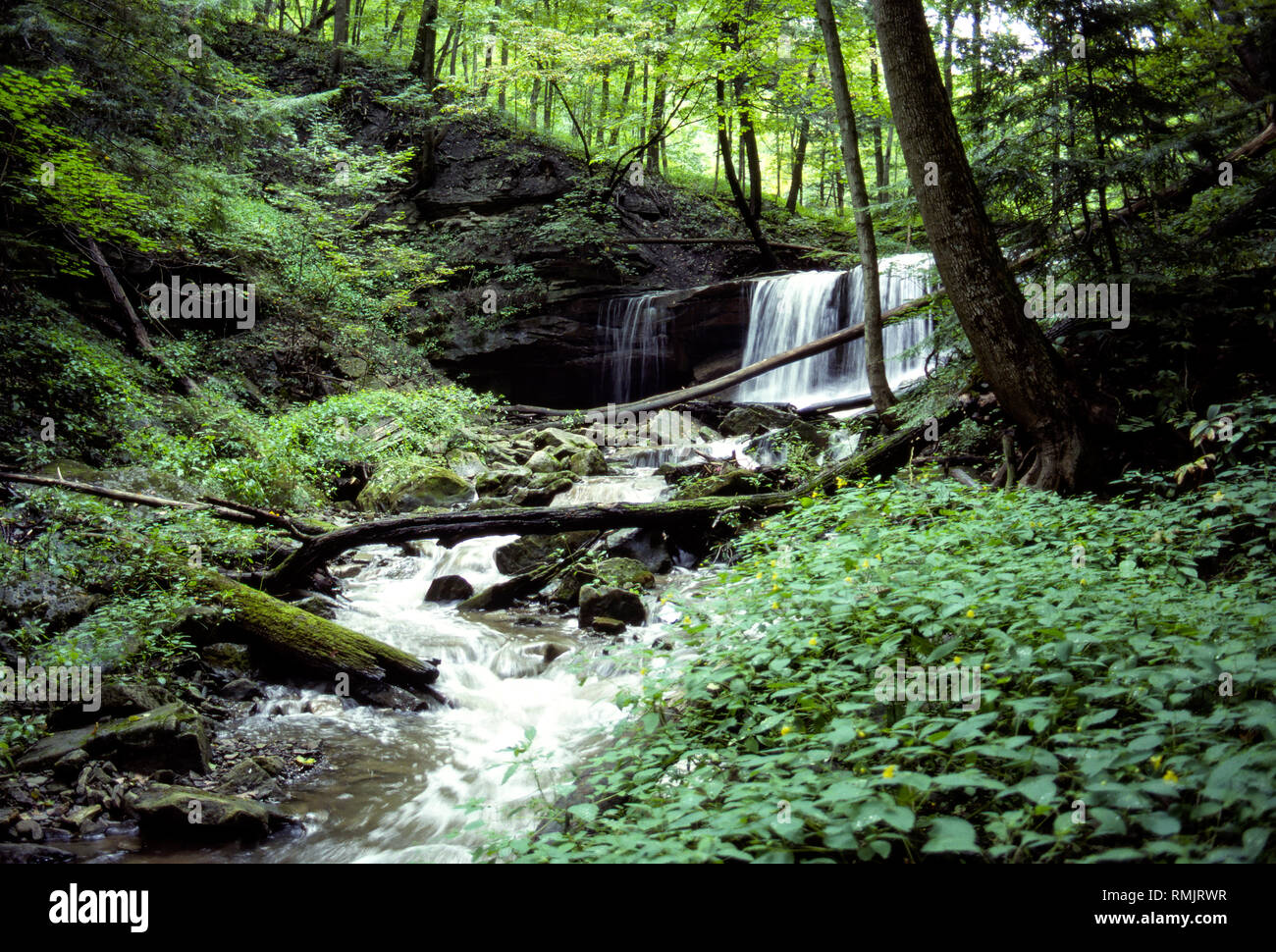 Wild Stream & Waterfall Niagara Escarpment Hamilton Ontario Canada ...