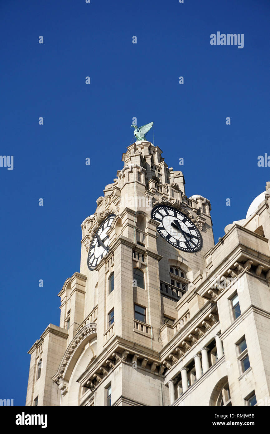 Top Of The Royal Liver Building, Liverpool Stock Photo - Alamy
