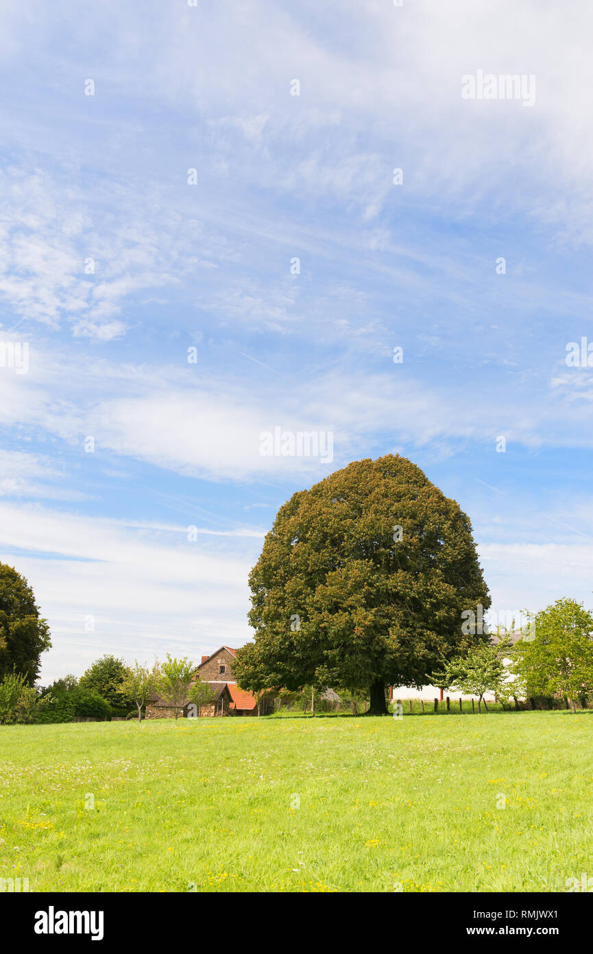 French landscape with hamlet in Limousin Stock Photo - Alamy