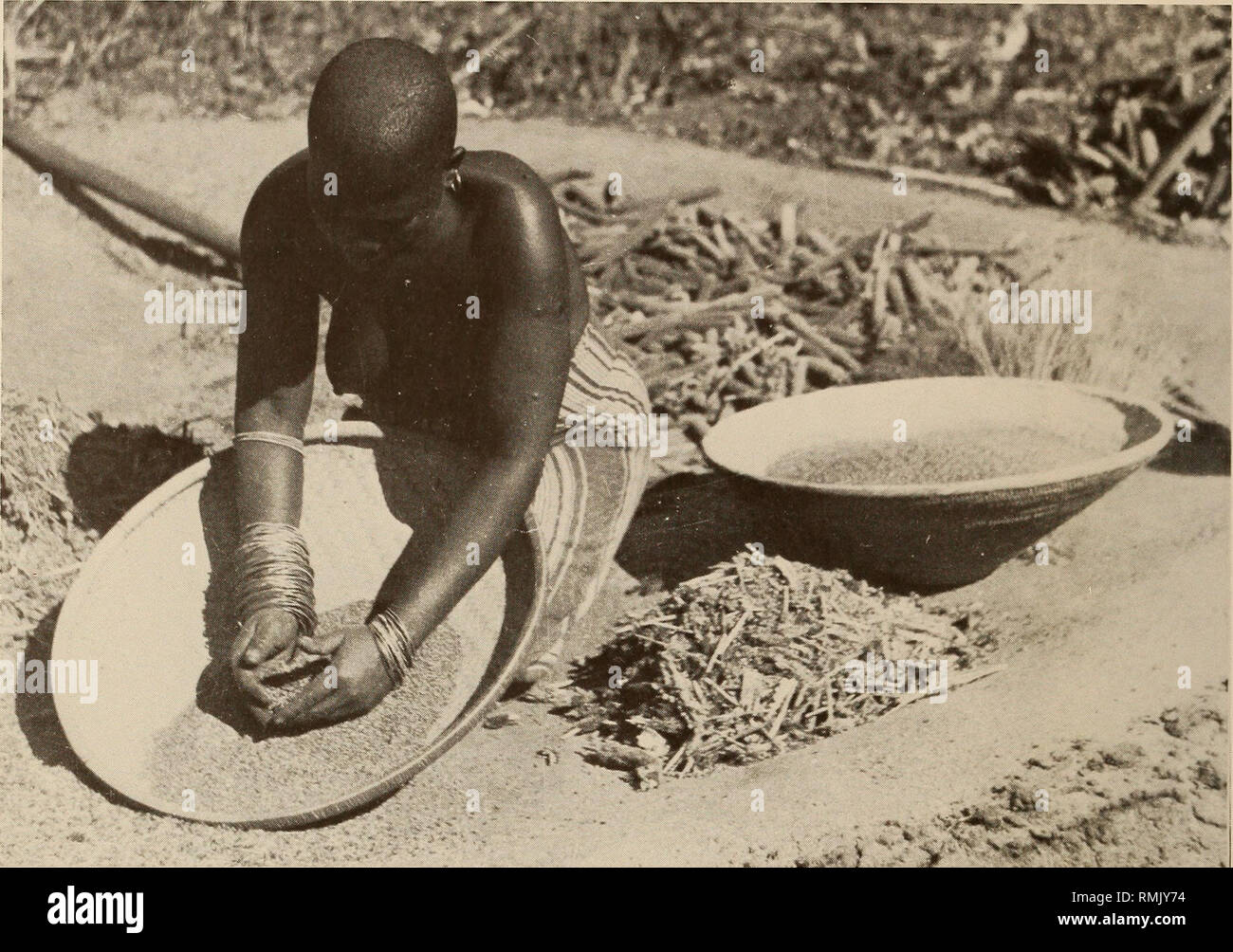 African winnowing grain hi-res stock photography and images - Alamy