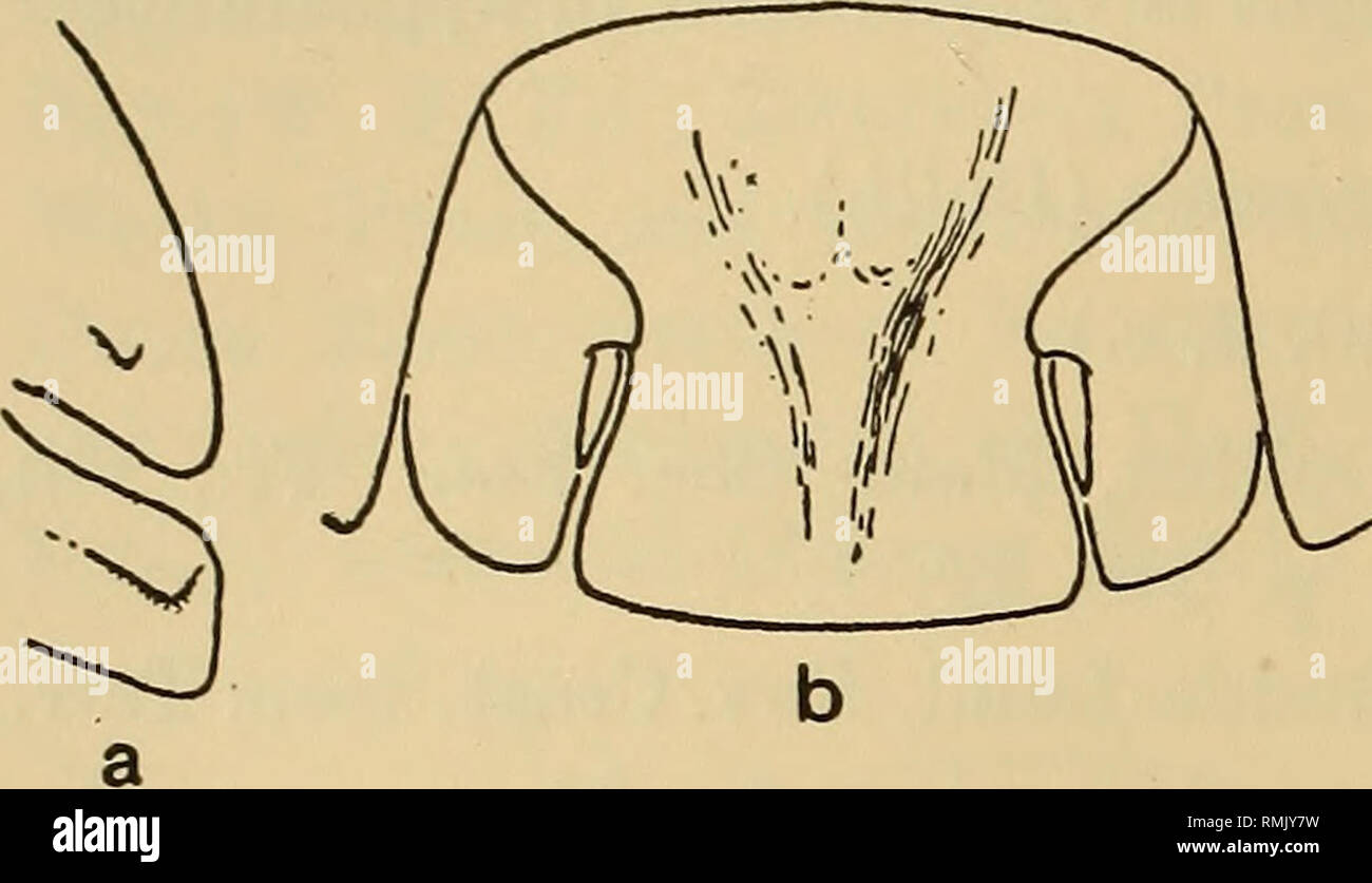 Slightly convex elevation hi-res stock photography and images - Alamy