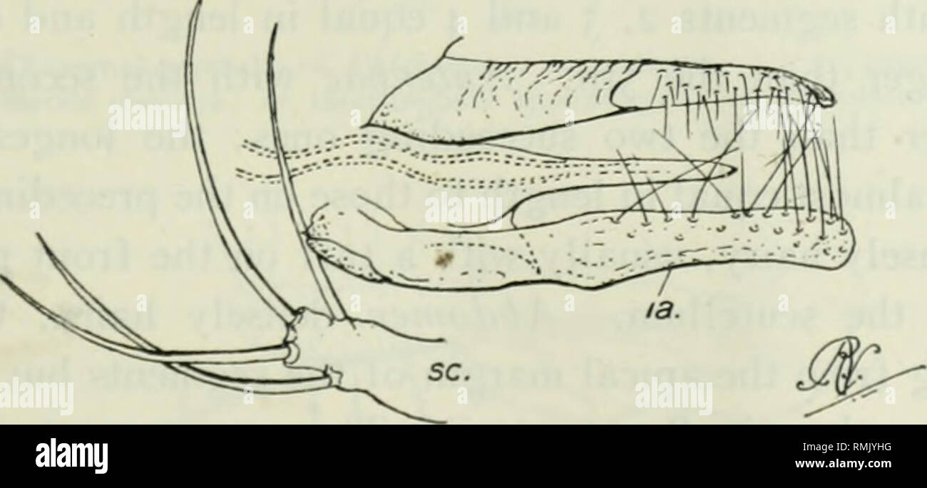 . Annals of tropical medicine and parasitology. Parasites. Fig. 14 ...