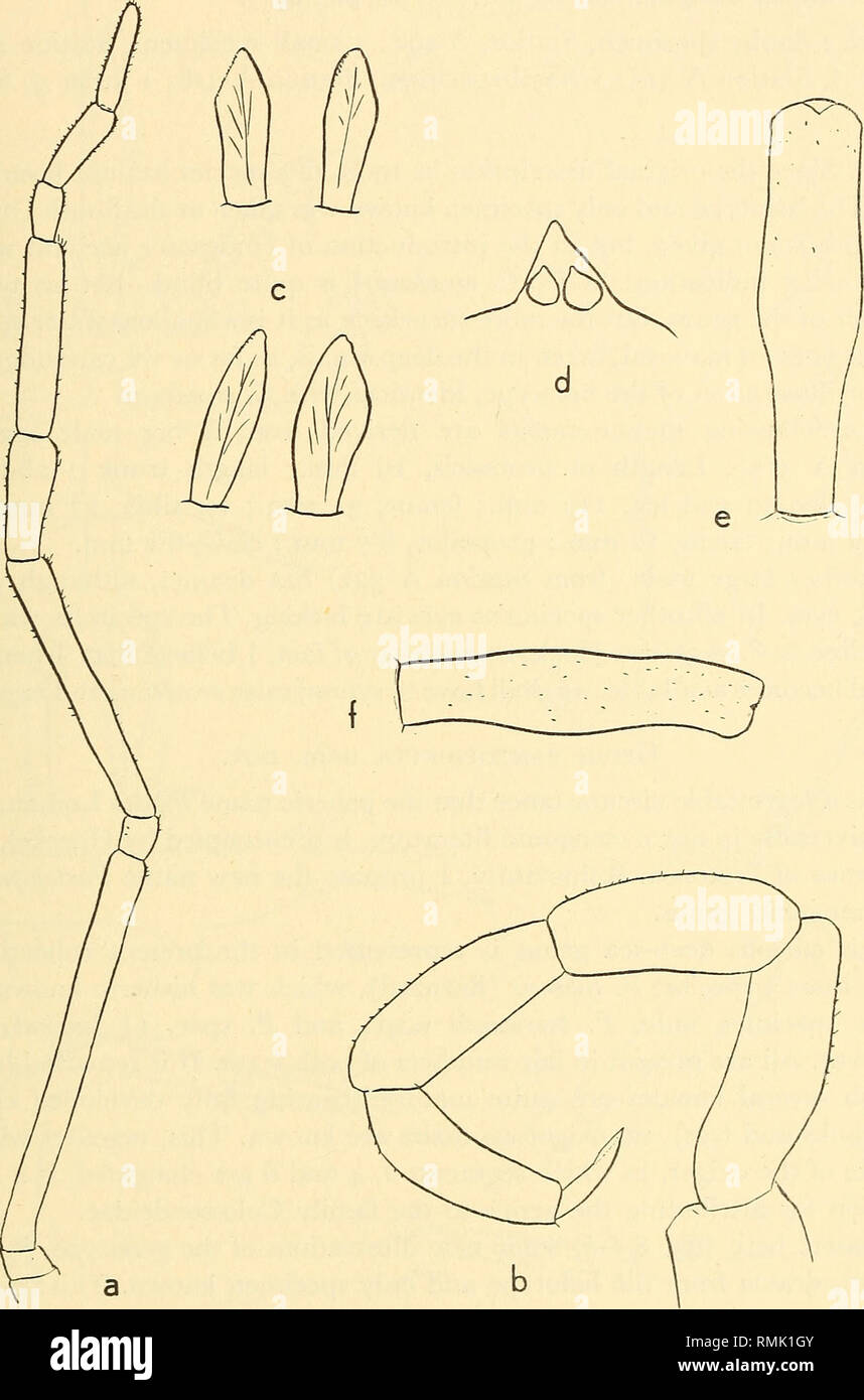 . Annals of the South African Museum = Annale van die Suid-Afrikaanse ...